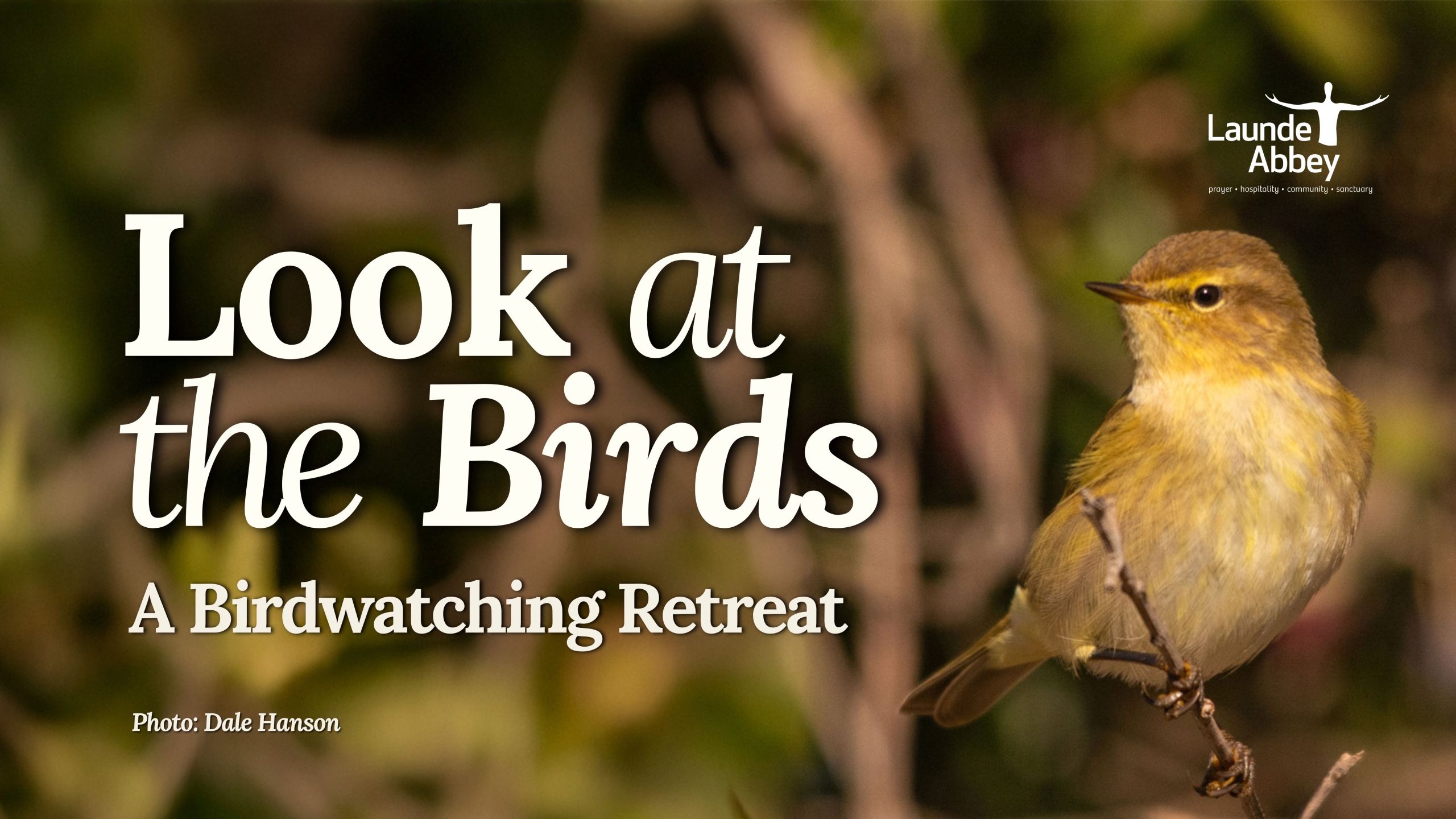 Look at the Birds: A Springtime Birdwatching Retreat **2 SPACES ...