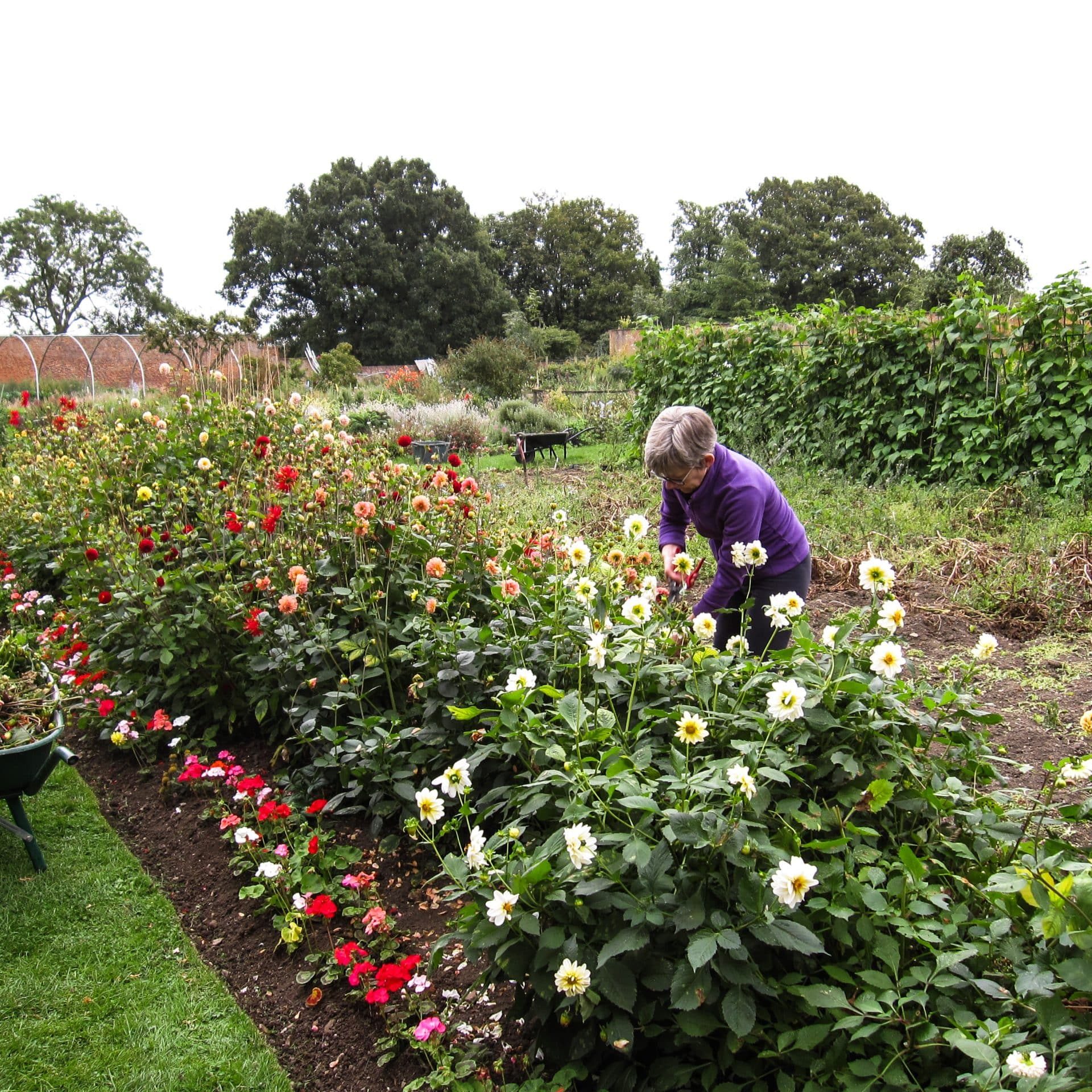 Support Launde Abbey - Launde Abbey