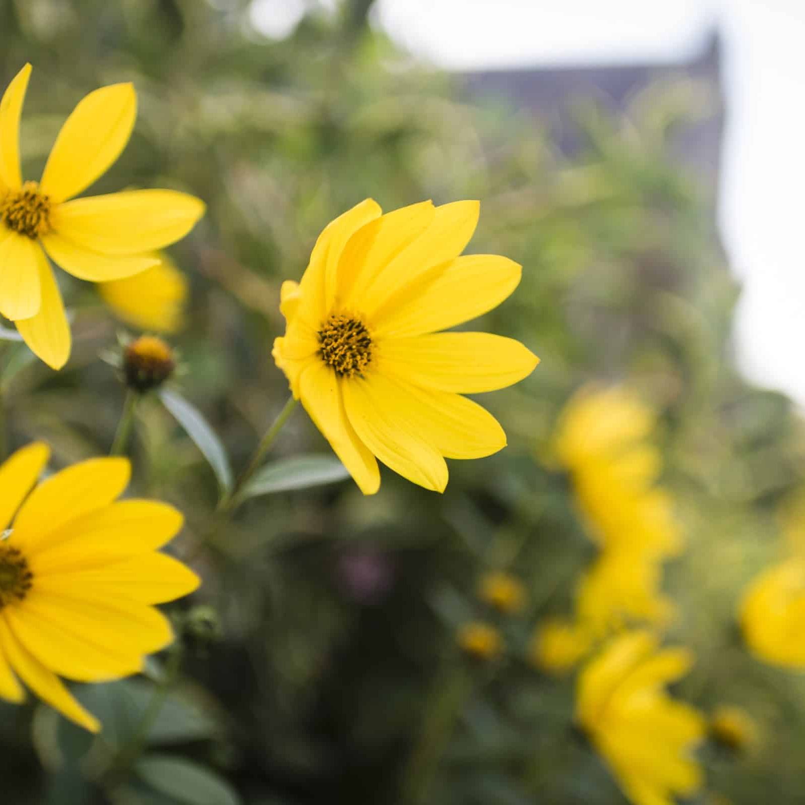 Visitor Information - Launde Abbey